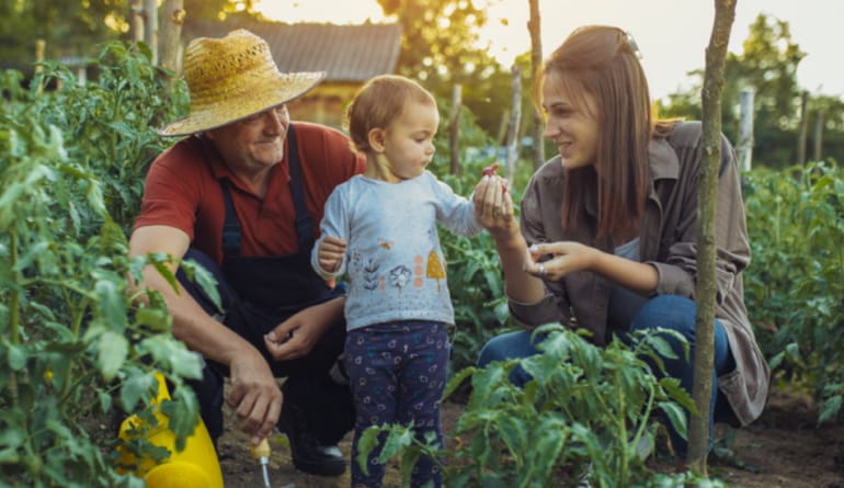 The best eco-volunteering holidays | Boundless by CSMA