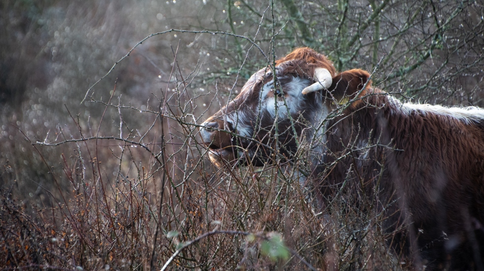 25 fabulous free events to attend in June | Boundless by CSMA