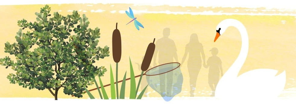 Boundless member reviews | Boundless by CSMA