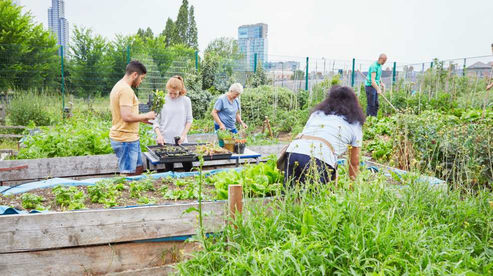 How to apply for an allotment | Boundless by CSMA