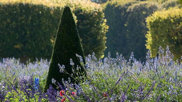The UK's most impressive topiaries | Boundless by CSMA