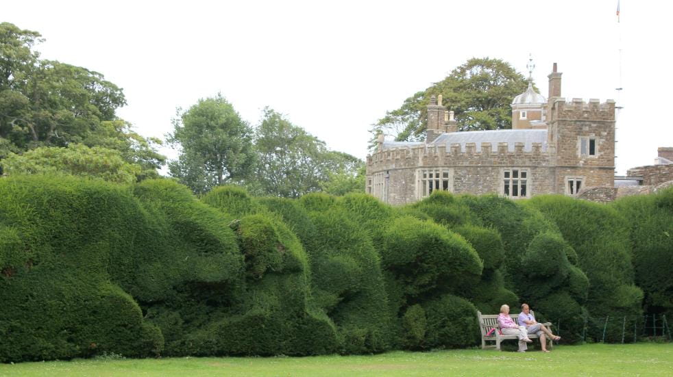 The UK's most impressive topiaries | Boundless by CSMA