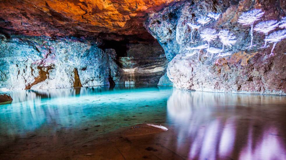 Things to do in the Forest of Dean | Boundless by CSMA