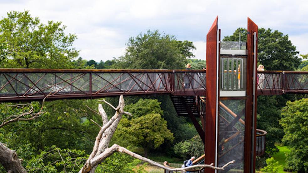 Experience Kew Gardens' Treetop Walkway | Boundless by CSMA